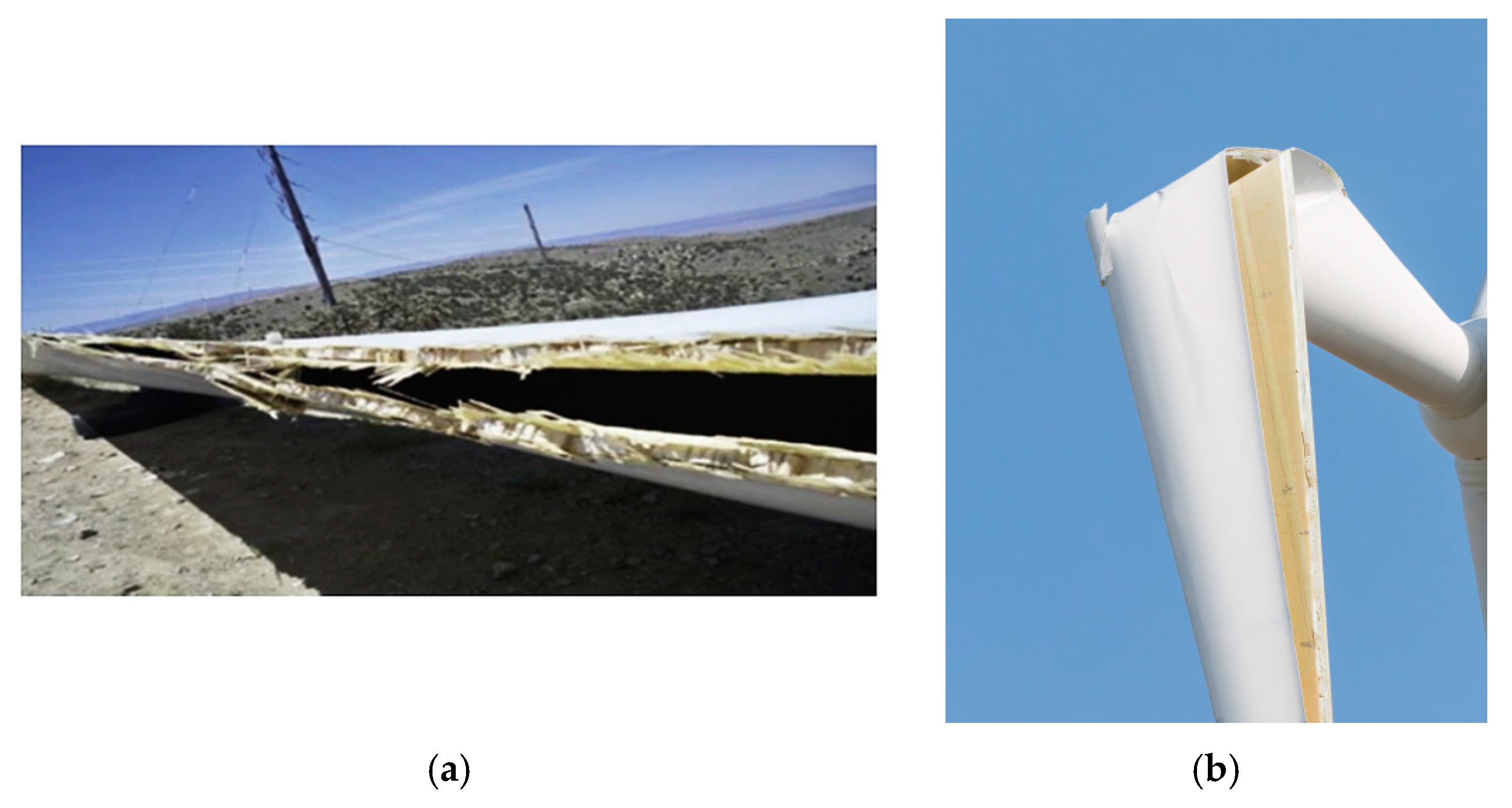 Root Causes and Mechanisms of Failure of Wind Turbine Blades: Overview