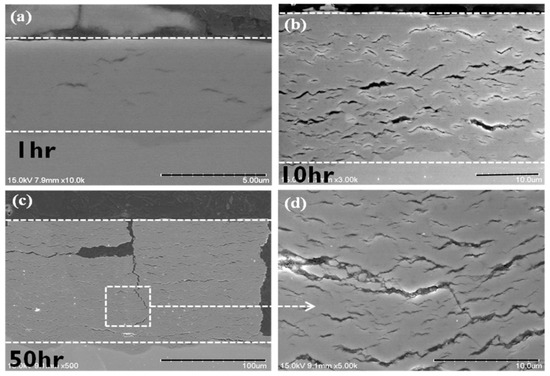 Oxidation Behavior Characterization of Zircaloy-4 Cladding with ...