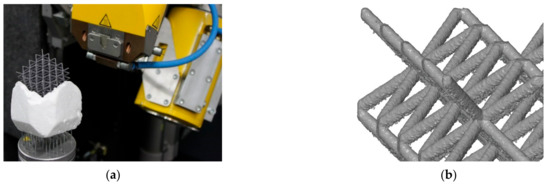 Deviations of the SLM Produced Lattice Structures and Their Influence ...