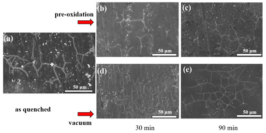 Effect of Pre-Oxidation Treatment on Corrosion Resistance of FeCoSiBPC ...