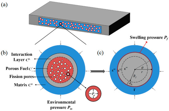 Explicit Analysis of Nonuniform Irradiation Swelling Pressure Exerting ...