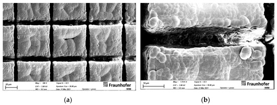 Laser Structuring and DLC Coating of Elastomers for High Performance ...