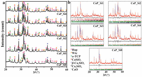 Materials | Free Full-Text | PCL/Si-Doped Multi-Phase Calcium Phosphate Scaffolds Derived from ...