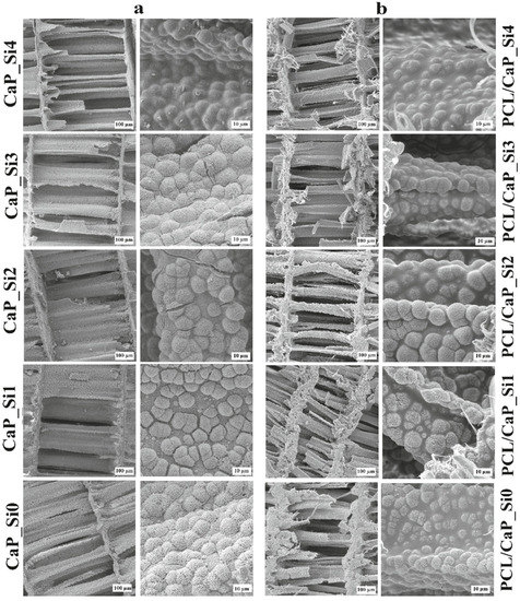 Materials | Free Full-Text | PCL/Si-Doped Multi-Phase Calcium Phosphate Scaffolds Derived from ...