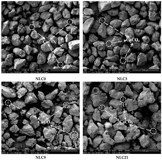 The Effect of Clay on the Shear Strength of Microbially Cured Sand ...