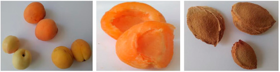 Materials | Free Full-Text | Removing Pollutants from Sewage Waters ...