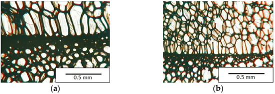 Materials | Free Full-Text | Scale-Up and Testing of Polyurethane Bio ...
