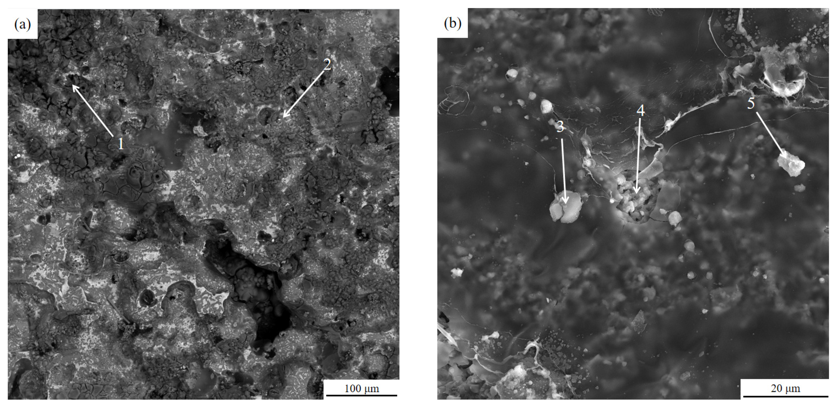 Ultrasonic Bending Vibration-Assisted Purification Experimental Study ...