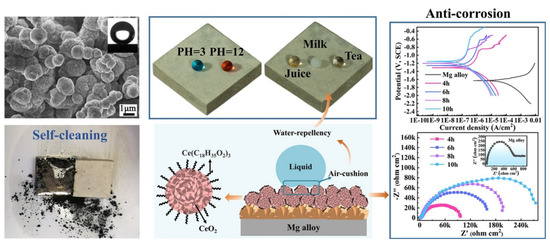 Recent Progress in Functionalized Coatings for Corrosion Protection of ...