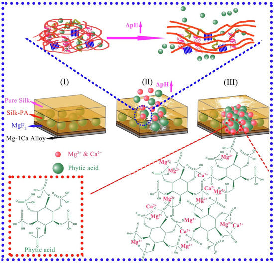 Recent Progress in Functionalized Coatings for Corrosion Protection of ...