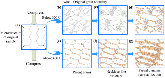 Constitutive Model and Recrystallization Mechanism of Mg-8.7Gd-4.18Y-0.42Zr Magnesium Alloy ...