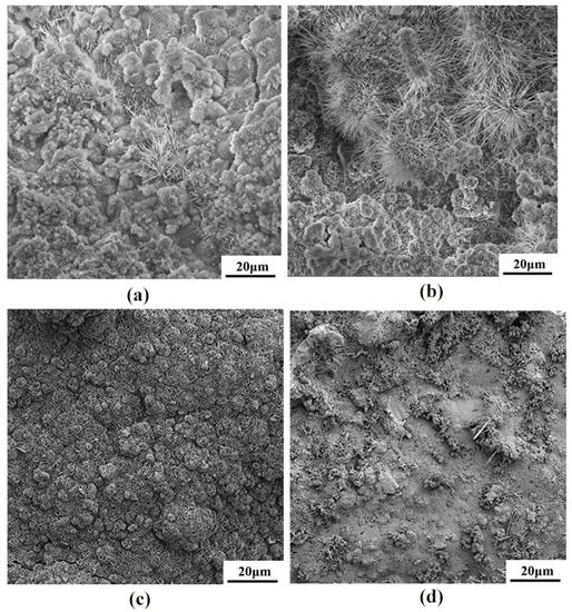 Materials | Free Full-Text | Effect of Rolling Treatment on ...