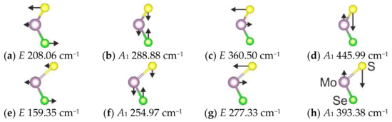 Raman Spectroscopy of Janus MoSSe Monolayer Polymorph Modifications ...