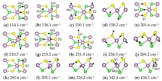 Raman Spectroscopy of Janus MoSSe Monolayer Polymorph Modifications ...