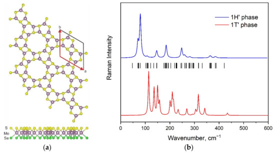 Raman Spectroscopy of Janus MoSSe Monolayer Polymorph Modifications ...