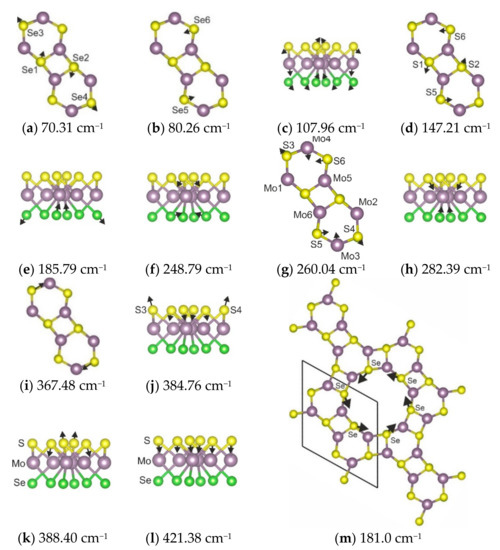 Raman Spectroscopy of Janus MoSSe Monolayer Polymorph Modifications ...