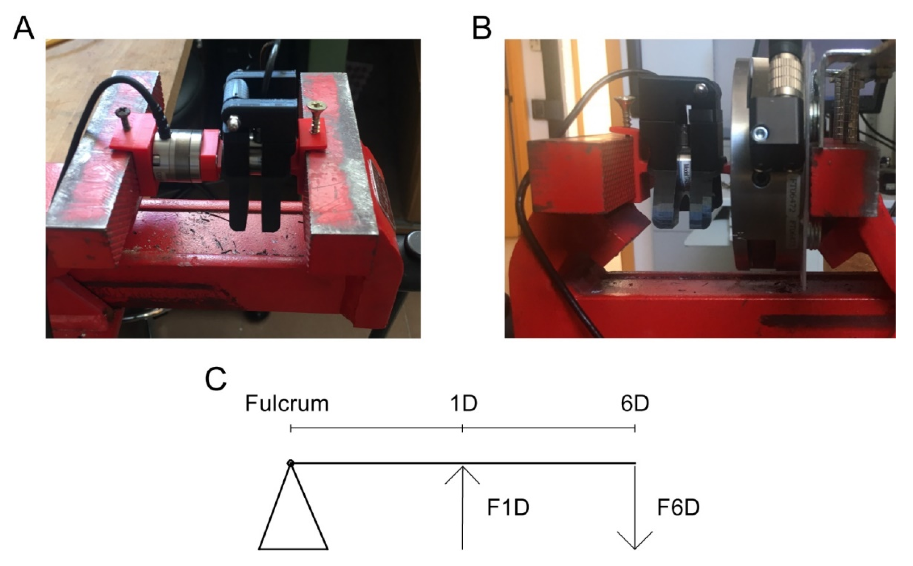 A Low-Cost Wireless Bite Force Measurement Device