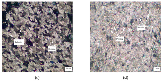 Microstructure of Dolostones of Different Geological Ages and ...