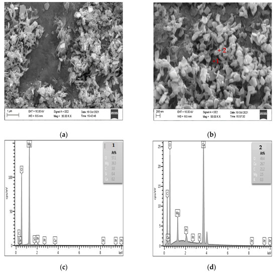 Microstructure of Dolostones of Different Geological Ages and ...