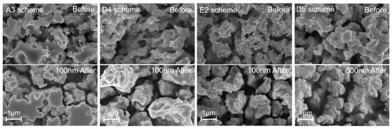 Effect of the Surface Morphology of Porous Coatings on Secondary ...