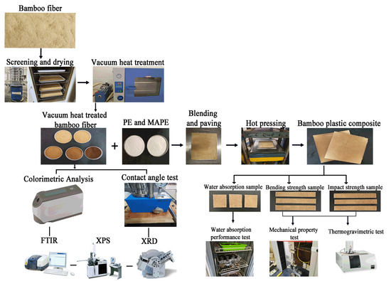 Surface Characteristics of Thermally Modified Bamboo Fibers and Its ...