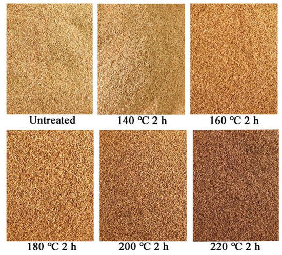 Surface Characteristics of Thermally Modified Bamboo Fibers and Its ...