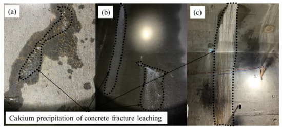 Effect of Leaching Behavior on the Geometric and Hydraulic ...