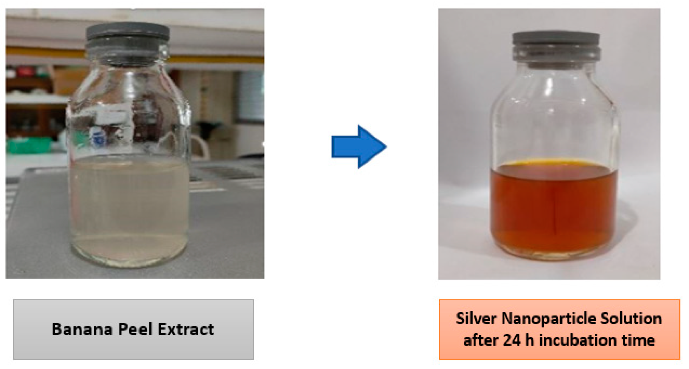 Green Synthesis of Silver Nanoparticles Coated by Water Soluble ...
