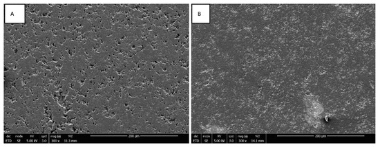Biocompatibility of ZrO2 vs. Y-TZP Alloys: Influence of Their ...