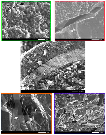 Study of Morphological, Structural, and Strength Properties of Model ...