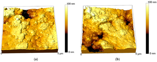 Study of Morphological, Structural, and Strength Properties of Model ...