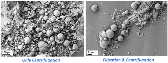 Hollow Silica Microparticles Based on Amphiphilic Polyphosphazenes