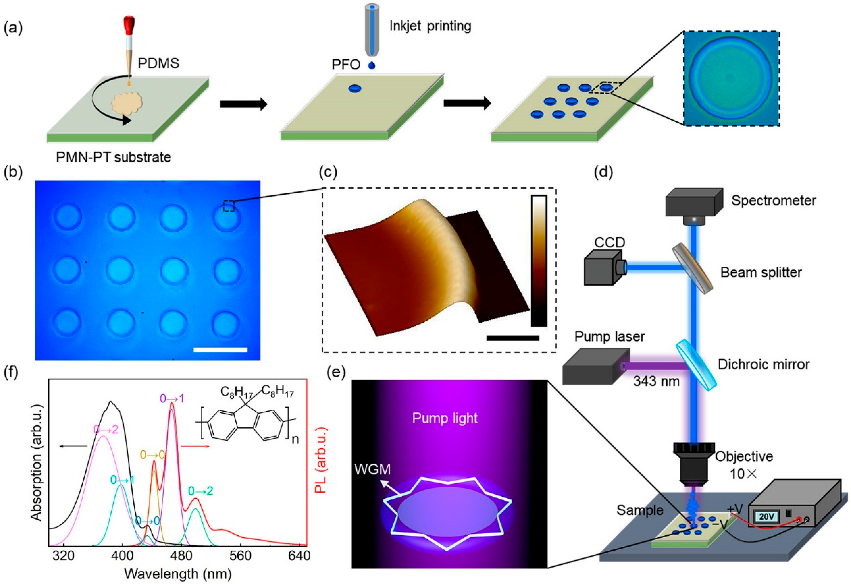 Electrically Tunable Polymer Whispering-Gallery-Mode Laser