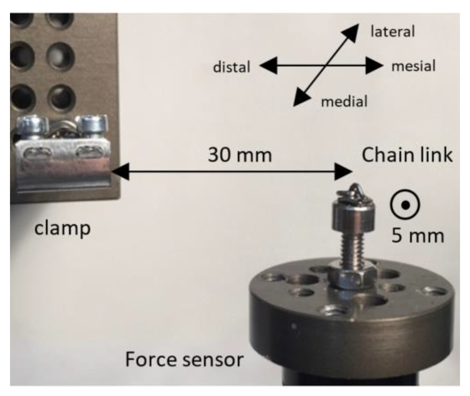 Force Systems Produced by Different Cantilever Configurations during ...