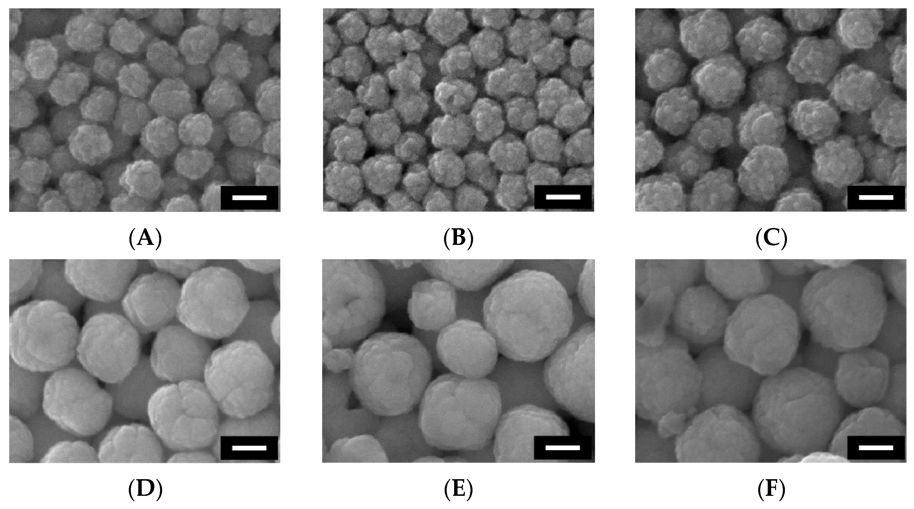 Size-Controllable Synthesis of Monodisperse Magnetite Microparticles ...