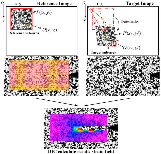 In Situ Measurement of the Strain Field at the Fatigue Crack Tip Based ...