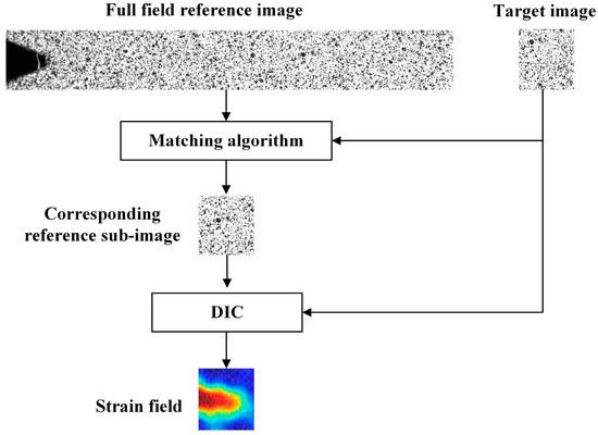 In Situ Measurement of the Strain Field at the Fatigue Crack Tip Based ...