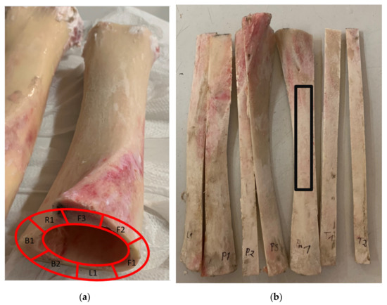 Correlation of Bone Material Model Using Voxel Mesh and Parametric Optimization