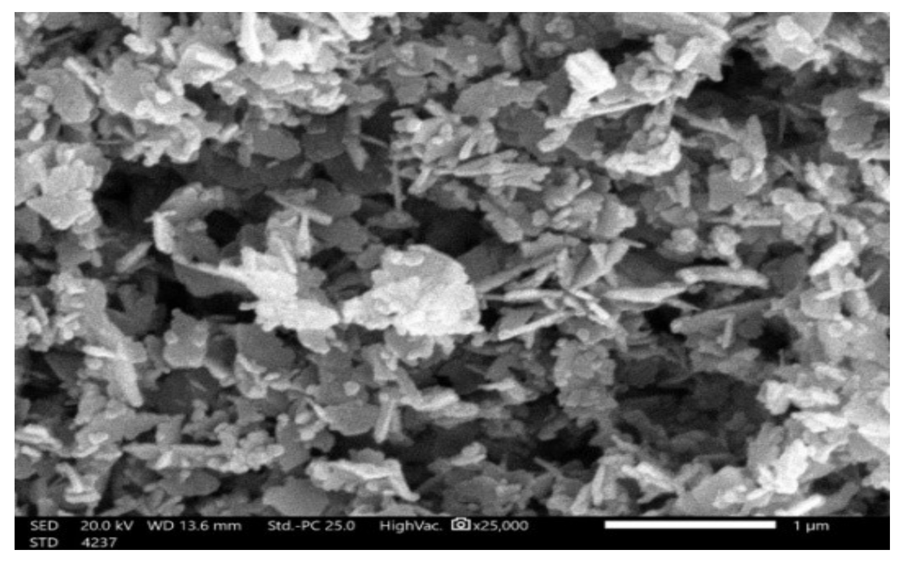Green Synthesis of Zinc Oxide Nanoparticles Using Red Seaweed for the ...