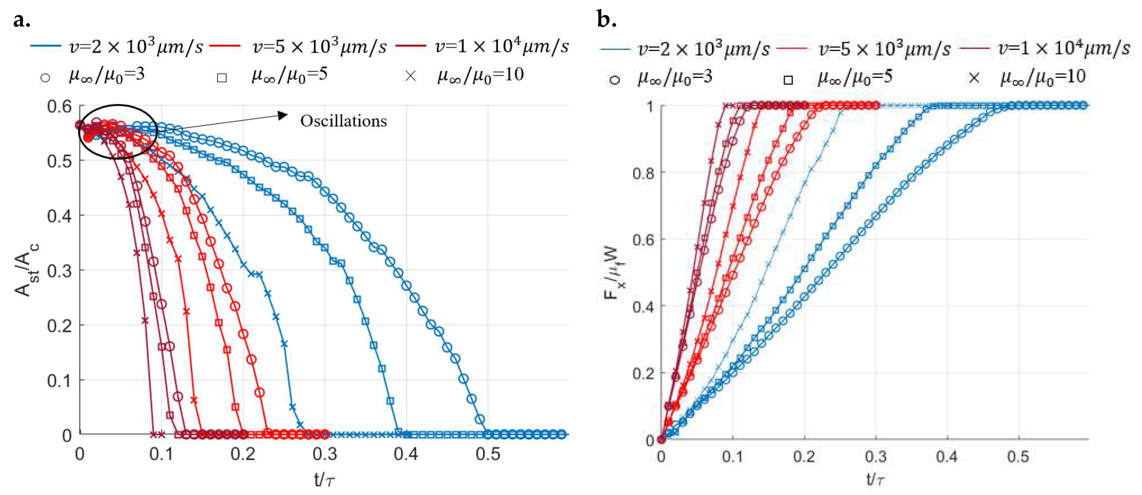 A Numerical Model for Investigating the Effect of Viscoelasticity on the Partial Slip Solution