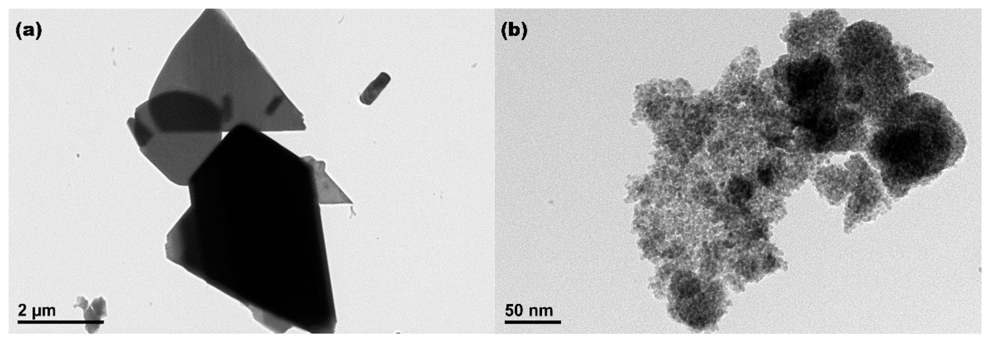 Oxidation-Induced and Hydrothermal-Assisted Template-Free Synthesis of ...