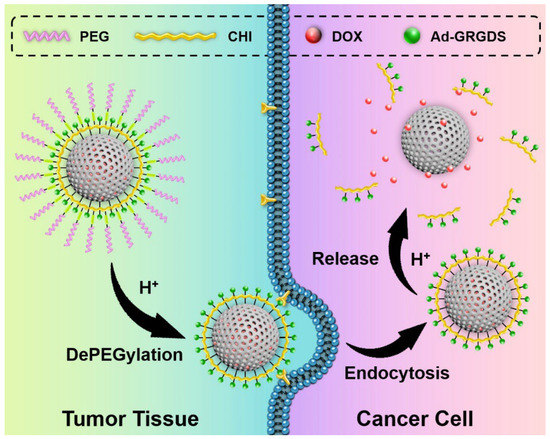Materials | Free Full-Text | Drug Delivery Systems with a “Tumor ...