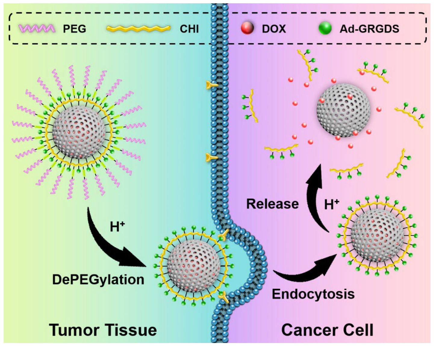 Materials | Free Full-Text | Drug Delivery Systems with a “Tumor ...