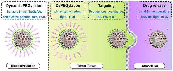 Materials | Free Full-Text | Drug Delivery Systems with a “Tumor ...