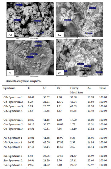 Materials | Free Full-Text | Adsorption of Heavy Metals Ions from Mining Metallurgical Tailings ...