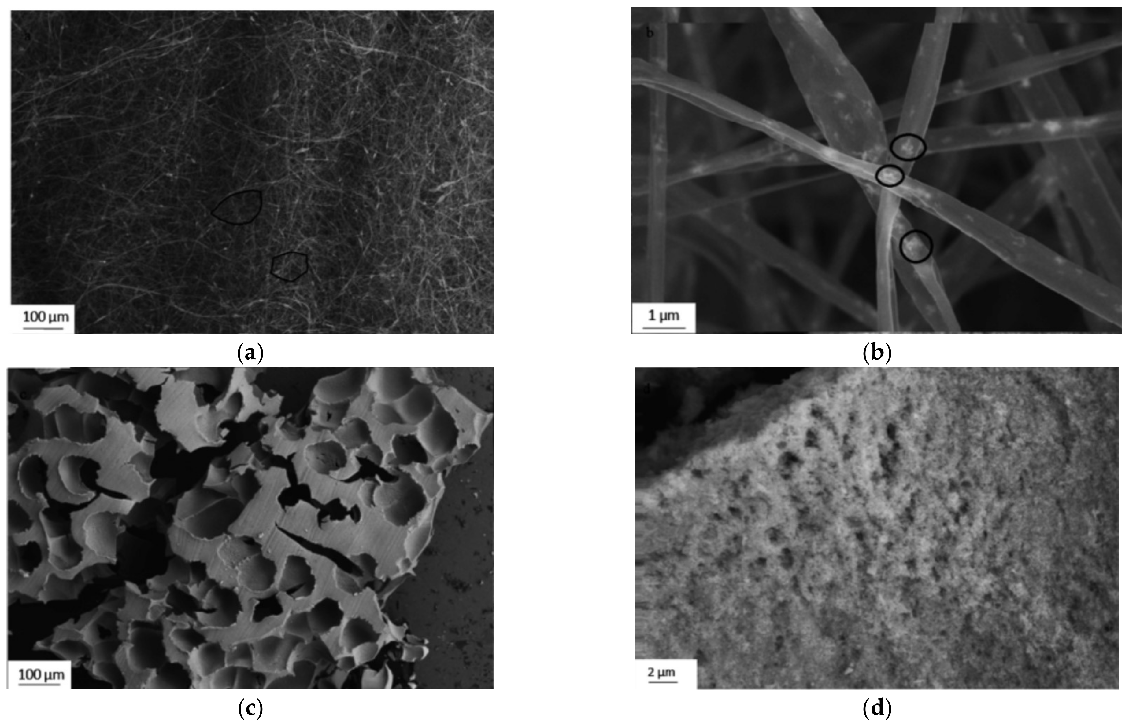 Materials | Free Full-Text | Polymorphic Biological and Inorganic ...