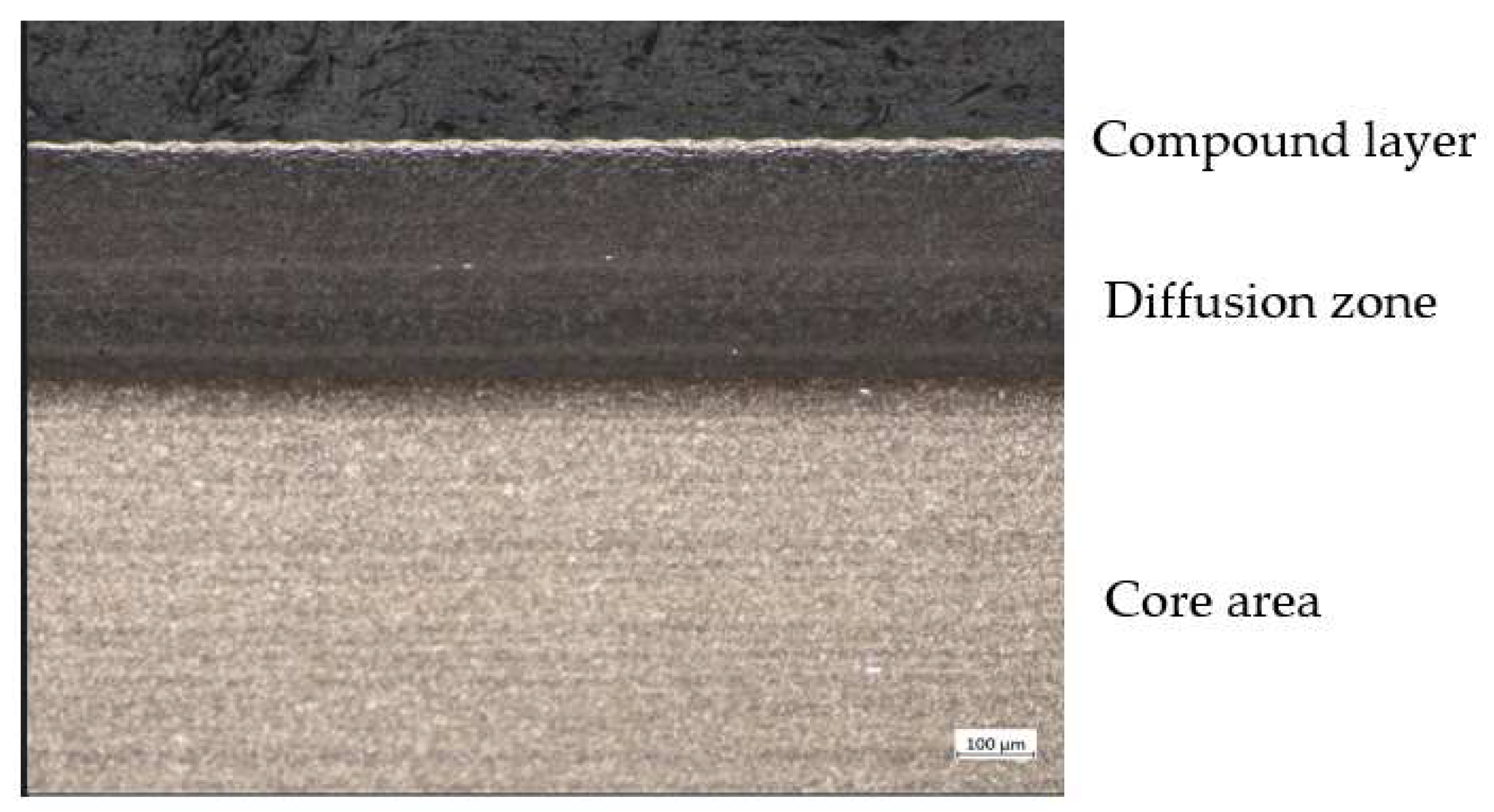 Influence of Heat and Thermochemical Treatment Parameters on C75 Steel ...