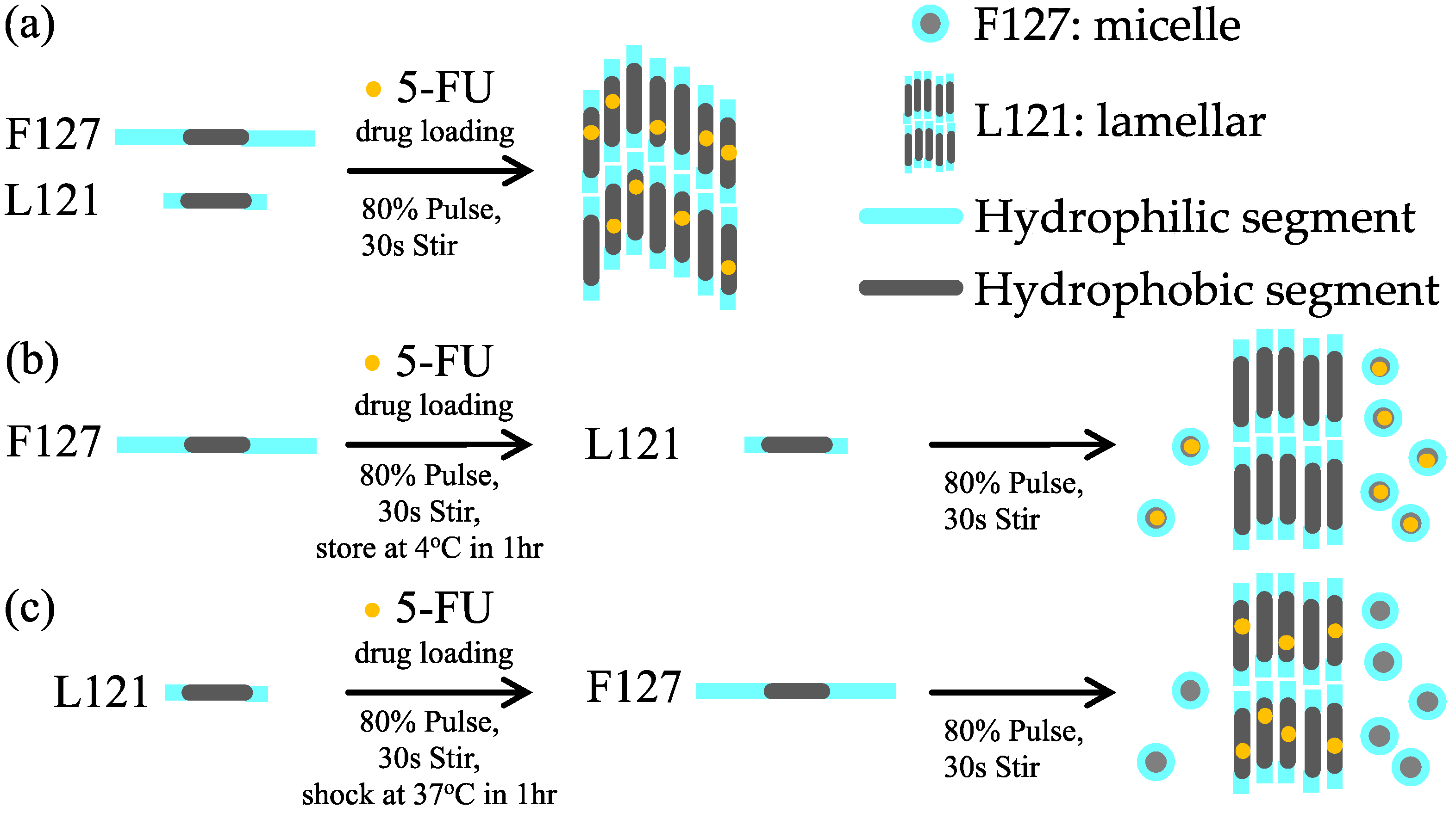 Preparation, Structural Characterization of Anti-Cancer Drugs-Mediated ...