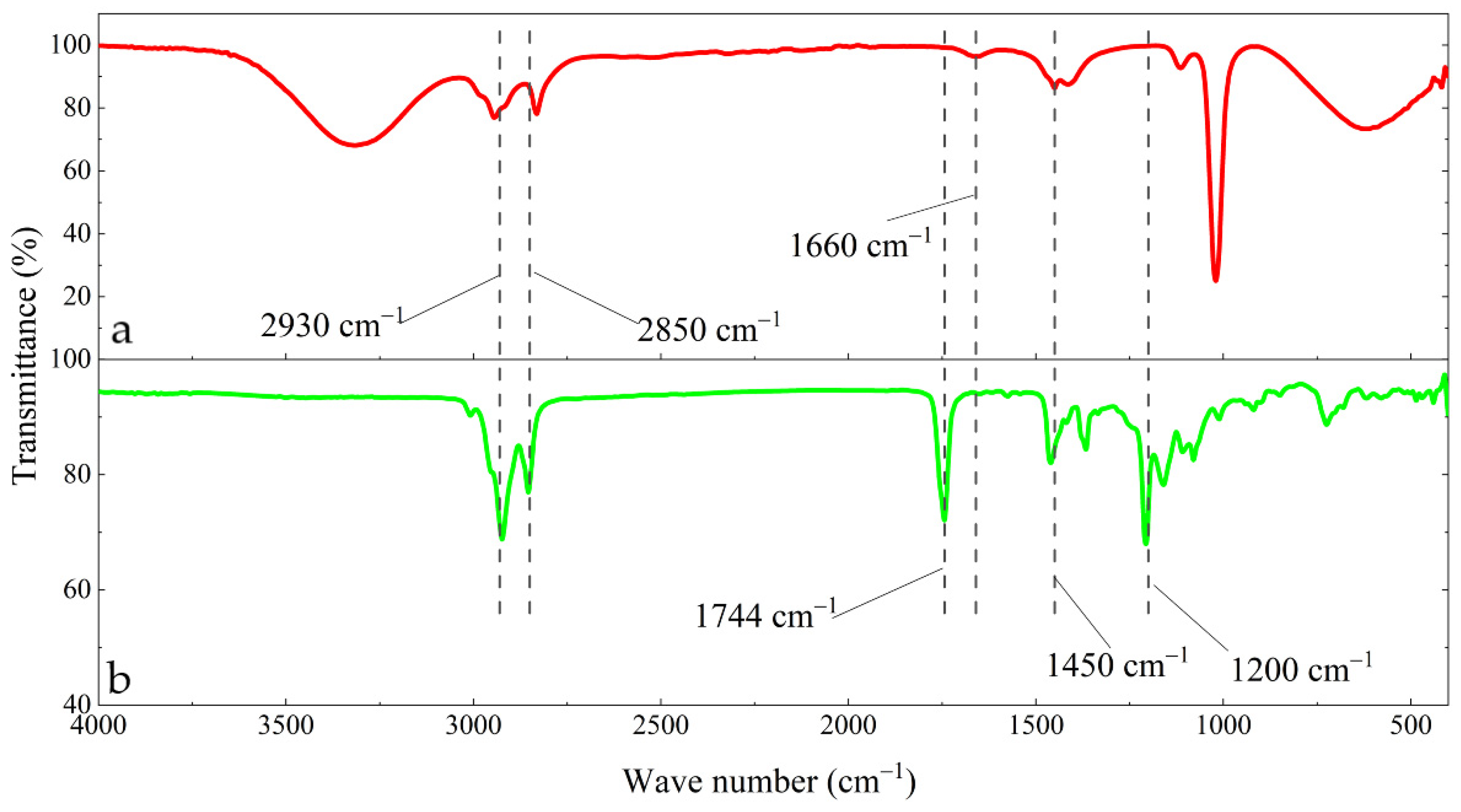 Inhibition Effect and Mechanism Explanation of Perilla Seed Extract as ...
