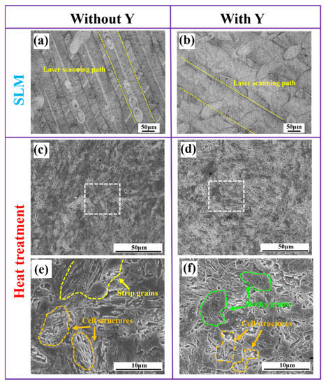 Effect of Yttrium on the Microstructure and Mechanical Properties of ...